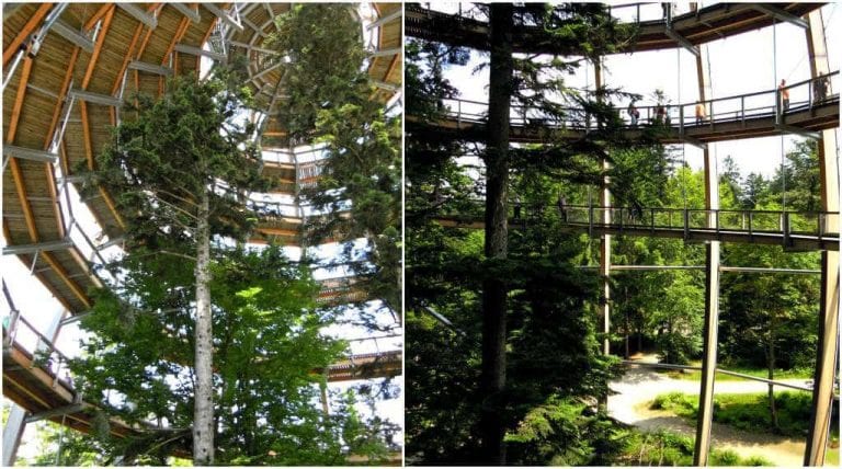 10 things to do in Bavaria with kids! - Globetotting