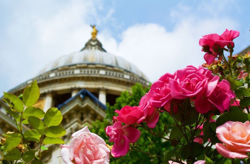 The 37 best things to do in London in July - Globetotting