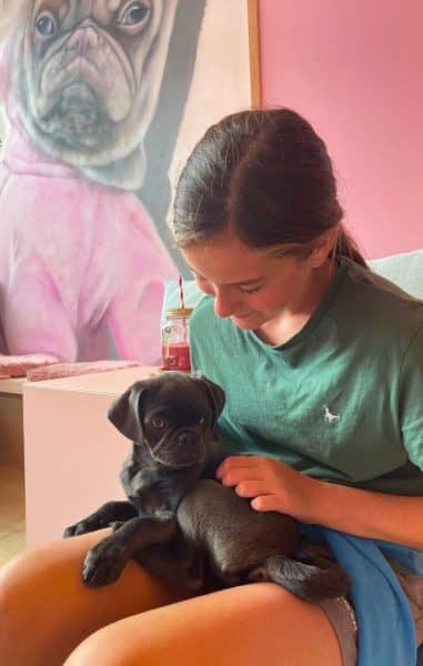 Coffee, cake and pugs: The CuppaPug Cafe London - Globetotting